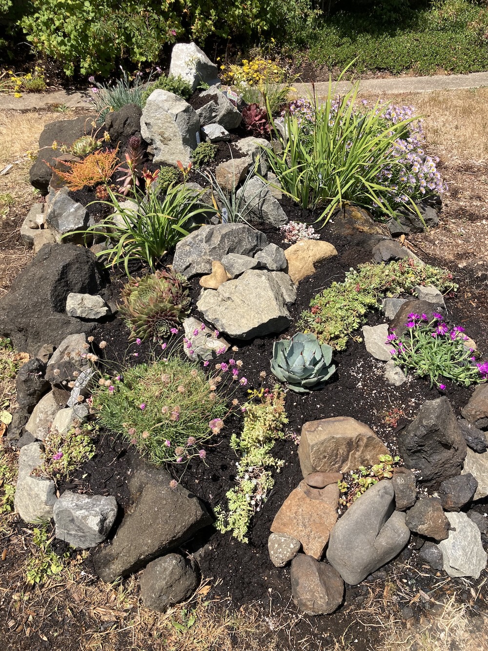Rock Gardens (KYAQ Audio) - Lincoln County Master Gardener™ Association
